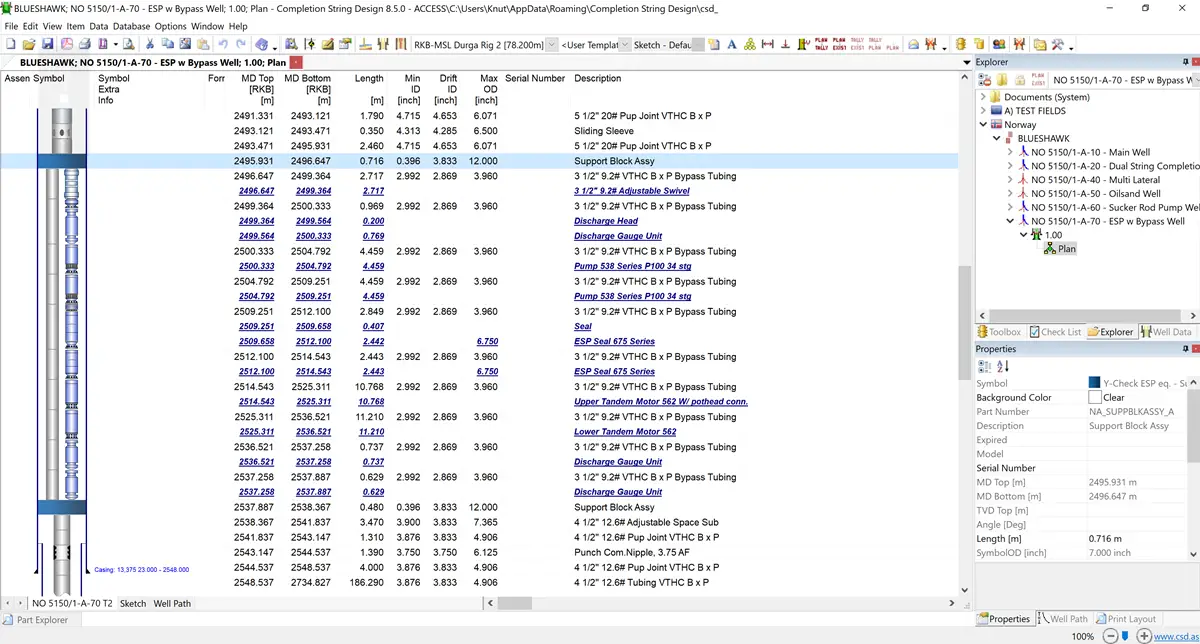 Completion String Design - CSD